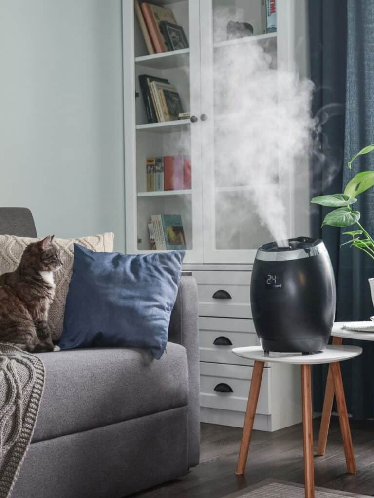 The Best Place To Put Your Humidifier - lavenderandoil.com